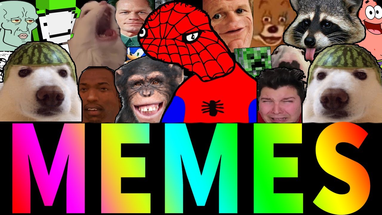 BEST MEMES COMPILATION V41 - YouTube
