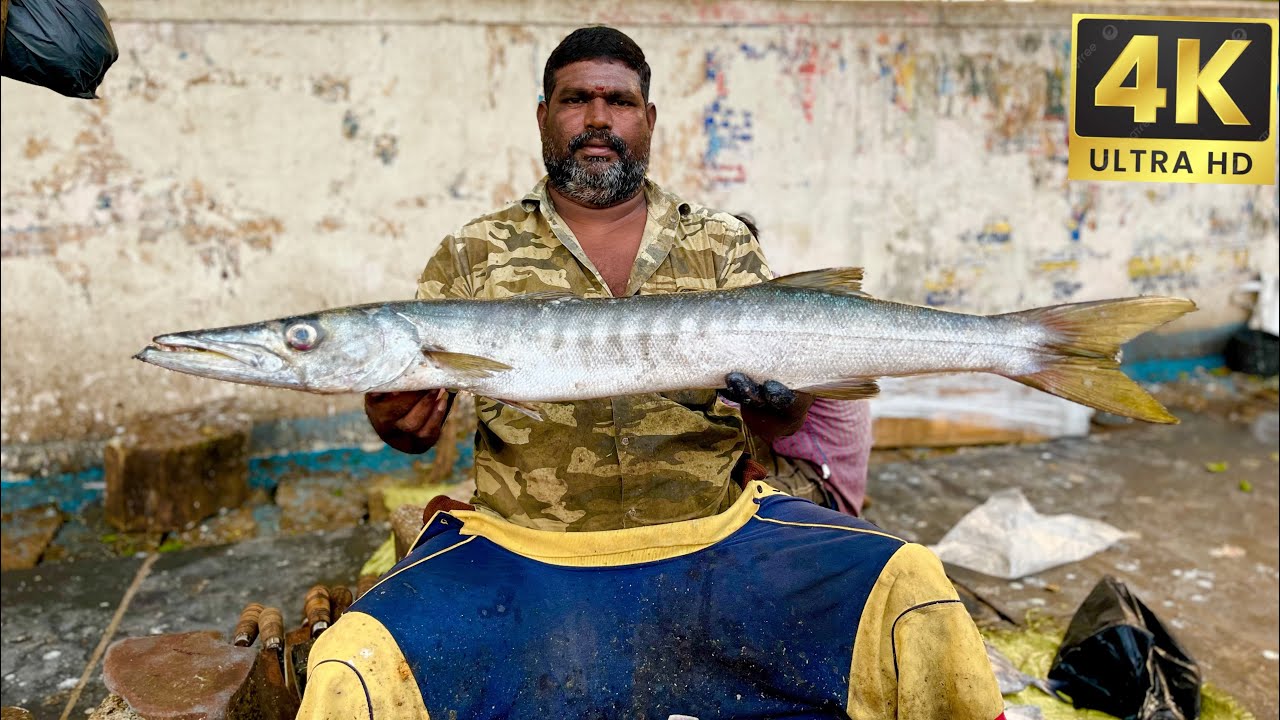 Sila fish cutting video/fishcuttingrs#fishcuttingrs #fish #kasimedu ...