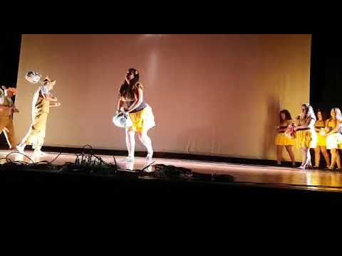 Apresentação de forró - YouTube