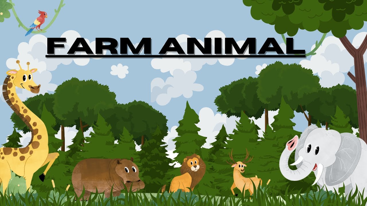 Farm Animal l Winkie Binkie - YouTube