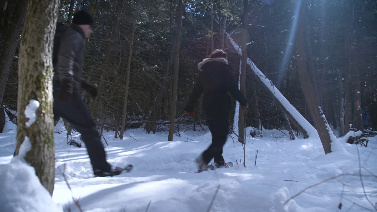 Wasaga Beach - Snowshoe Here This Winter! - YouTube