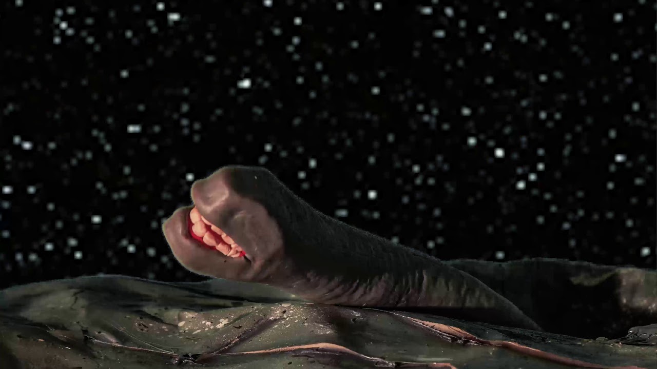 Moon Worms - YouTube