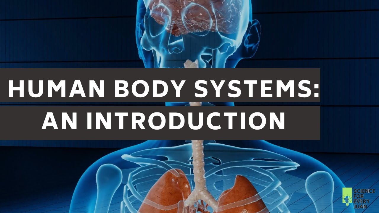 Introduction to Human Organ Systems | Major Organs of the Body| Science ...