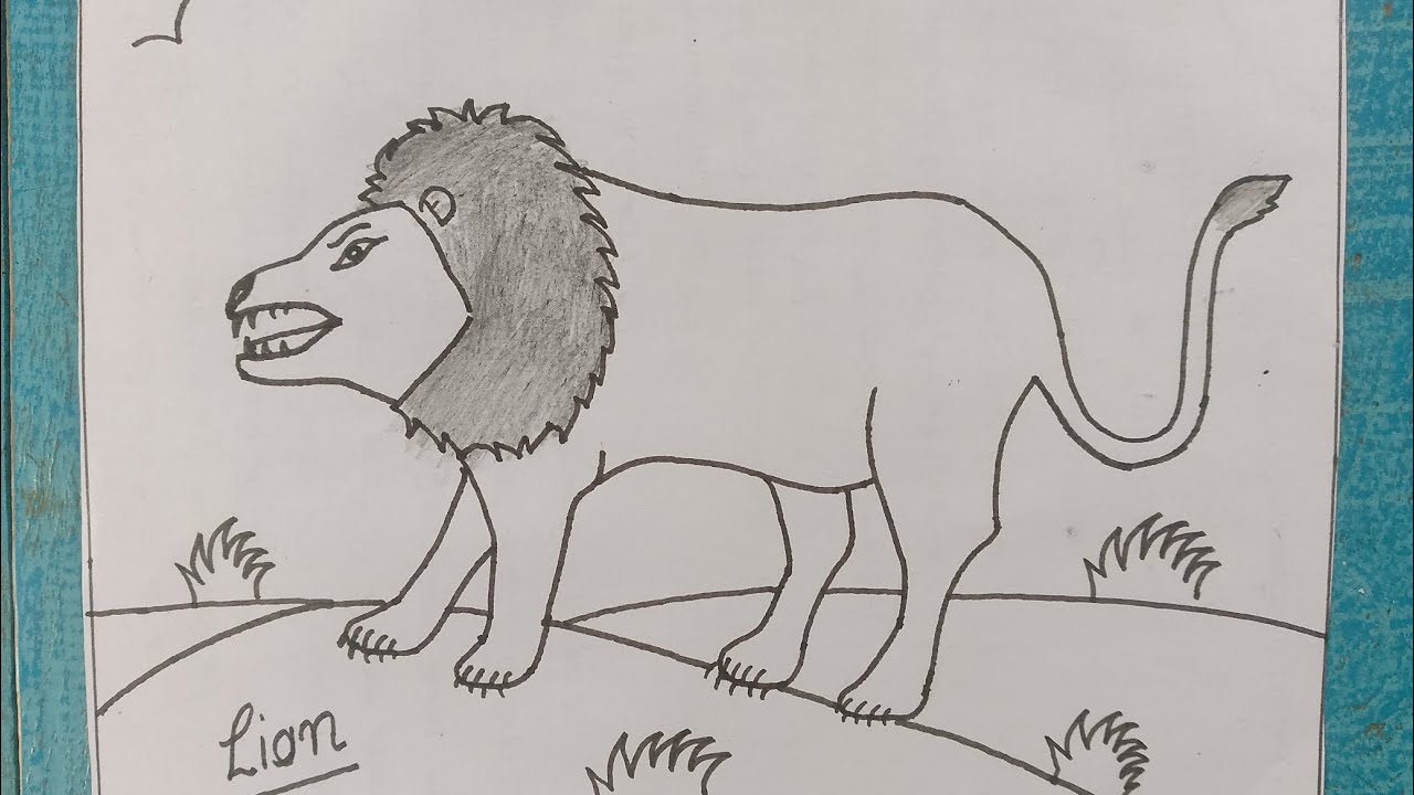 शेर का चित्र | ‍ lion ka drawing | lion drawing | easy line drawing ...