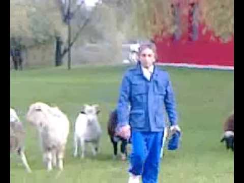 Умар Джабраилов - YouTube
