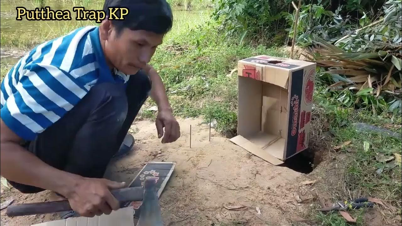 Different bird traps by preying on an underground shell - YouTube