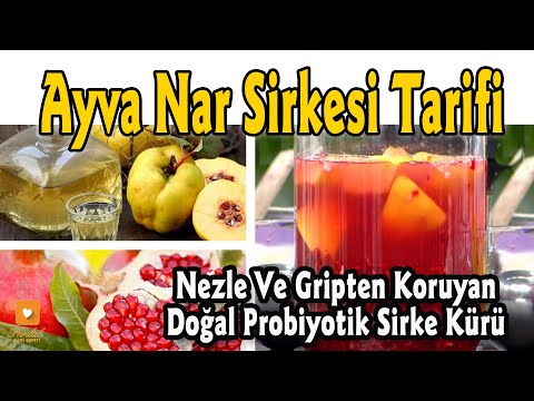 Nezle Ve Gripten Koruyan Doğal Probiyotik Sirke Kürü - Ayva Nar Sirkesi Tarifi #SirkeKürü #Sirke