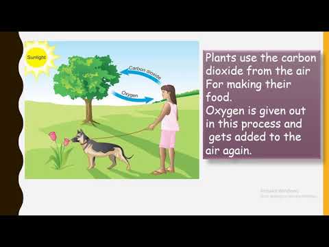 Std 5th l Environmental Balance l Part 3 - YouTube