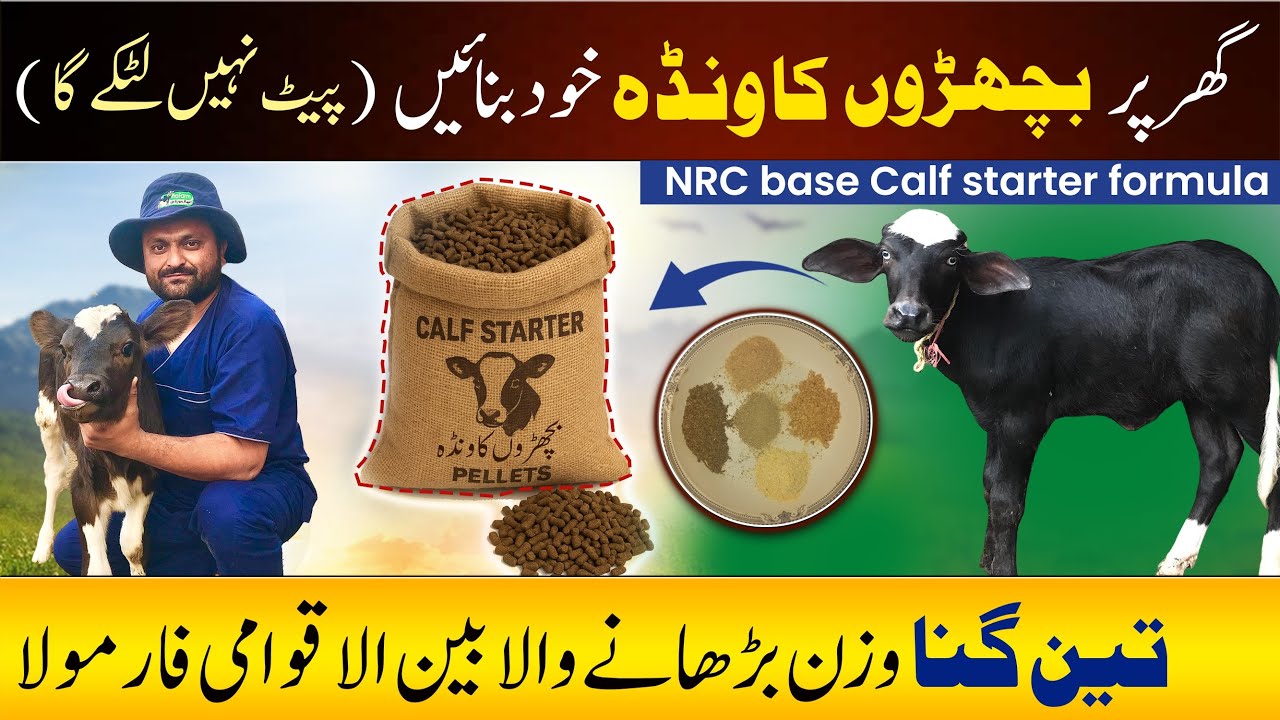 Calf Starter Wanda Formula by National Research Council | calf starter ...