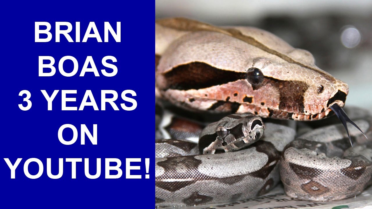Brian Boas Celebrates 3 Years on YouTube! - YouTube