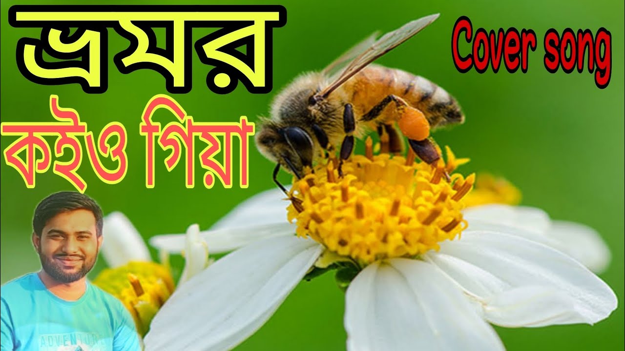 ভ্রমর কইও গিয়া || vromor koiyo gia || cover song || bangla sad song || sm vlogs bd - YouTube