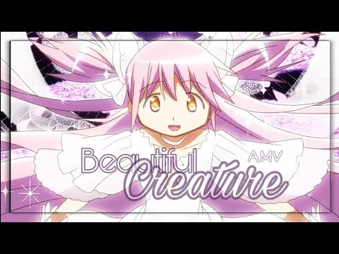 Nightcore|AMV Beautiful creature - MIIA - YouTube