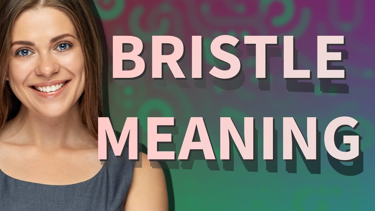 Bristle | meaning of Bristle - YouTube