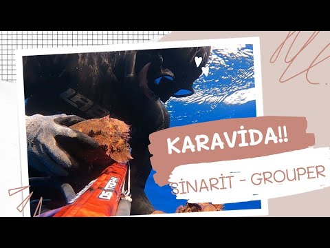 MUHTEŞEM AVLAR YAPTIM!!! Karışık Zıpkınla balık avı Spearfishing