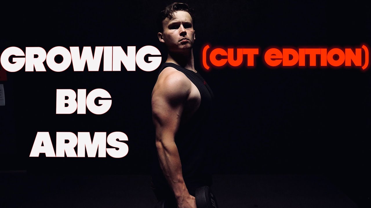 My Full Arm Workout For Strength & Size While Cutting - YouTube