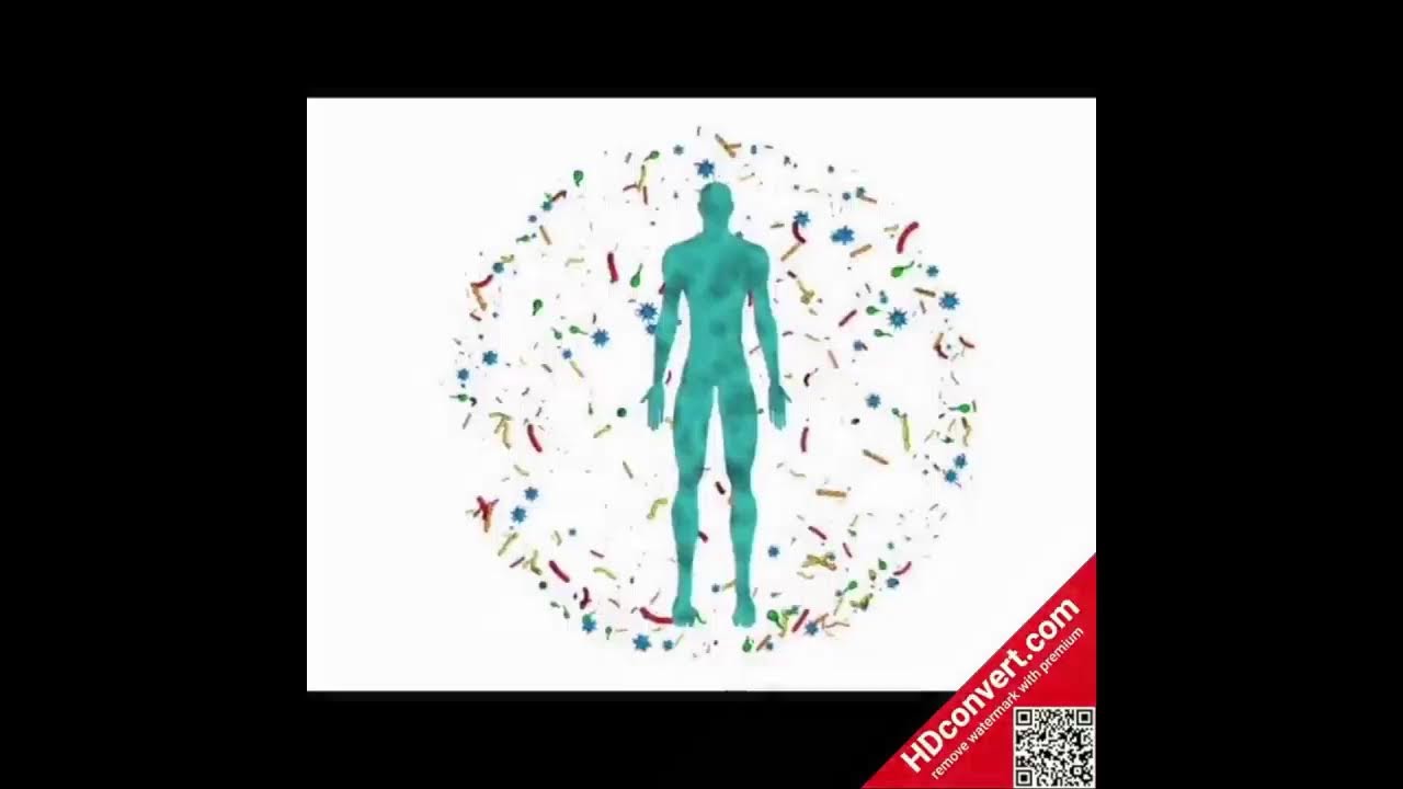 iv cannula and fluid detail - YouTube