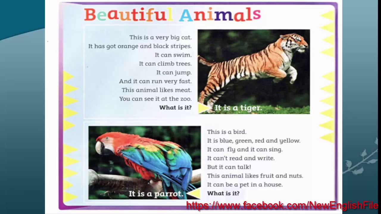 Unit 14 Action Boy can run Lesson 4 Family and Friends 1 - YouTube