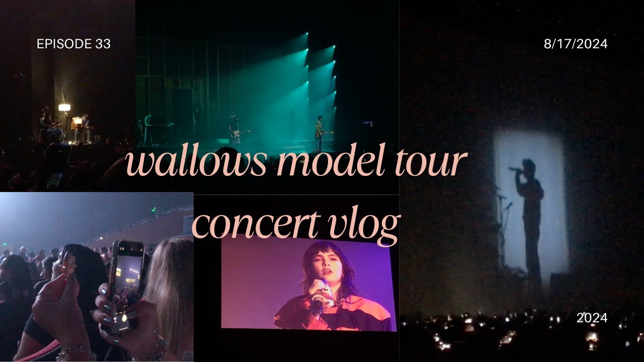 wallows model tour live!! *concert vlog* - YouTube
