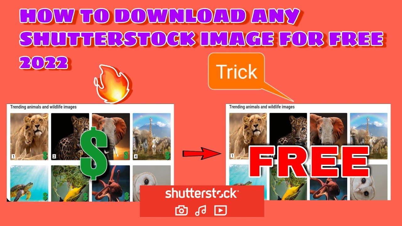 How to download any Shutterstock image for free 2022 | download free ...