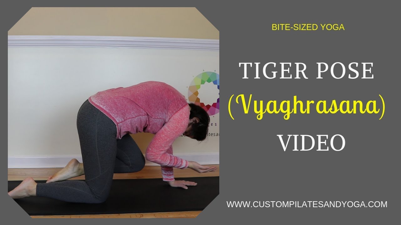 Tiger Pose (Vyagrhrasana)Video - YouTube