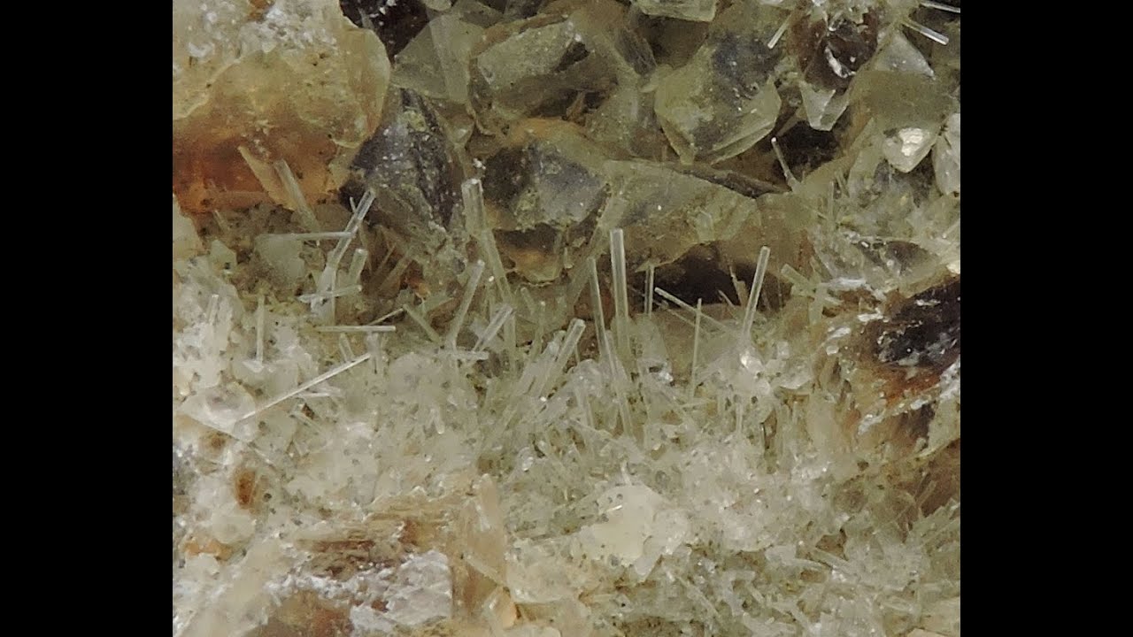 Natrolite needles and calcite in petrified wood from Uganda – rare ...