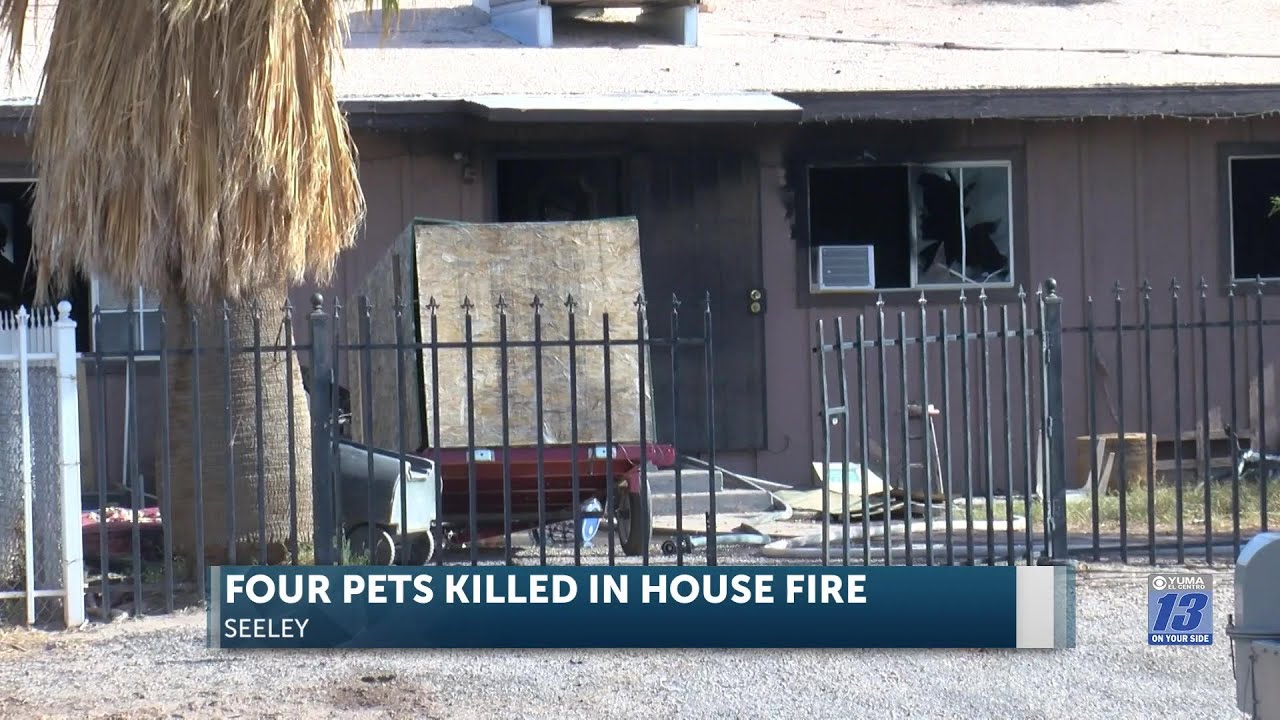 Four pets killed in house fire - YouTube