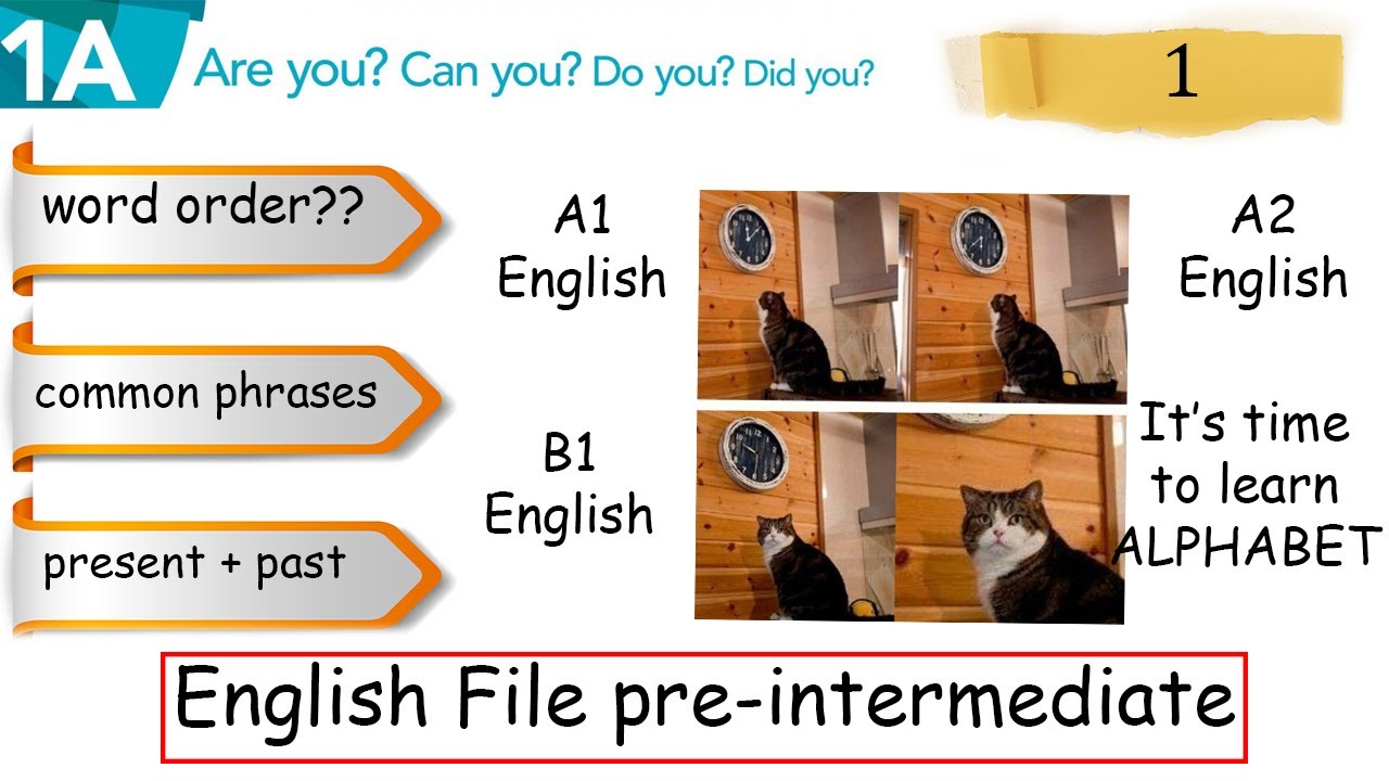 Lesson 1. English File pre-intermediate course. Common phrases. Word ...