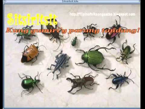 Sitsiritsit Filipino Folk Song Karaoke videoke - YouTube