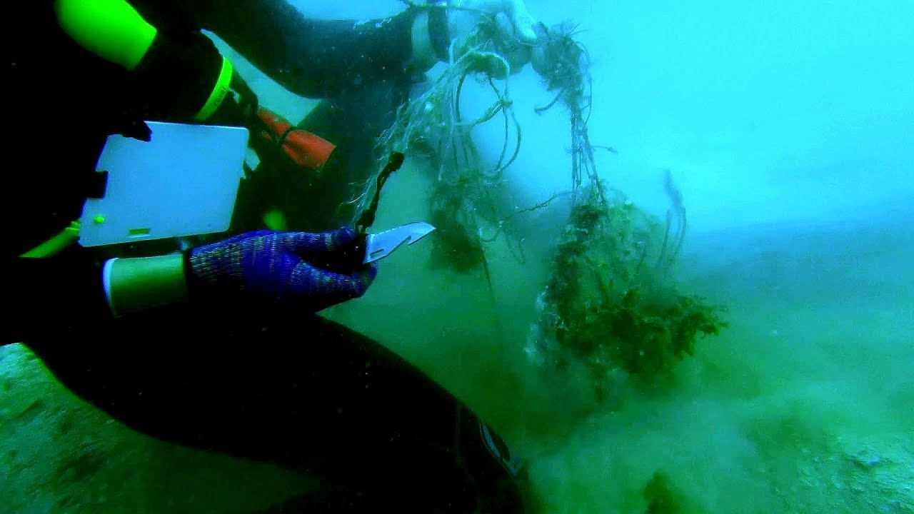 Coral Reef Clean Up - Day 28 - Life in Thailand - YouTube