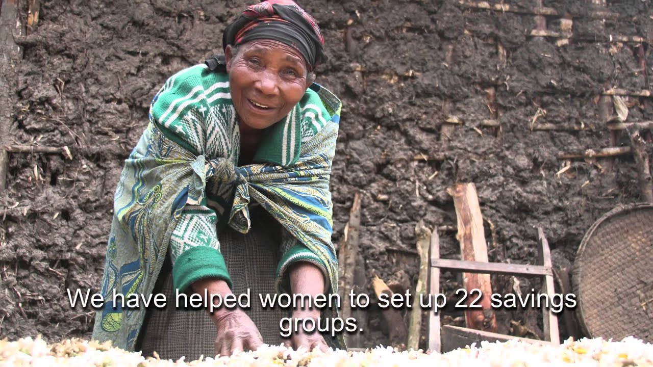 Rwanda Pyrethrum Program: A Success Story - YouTube