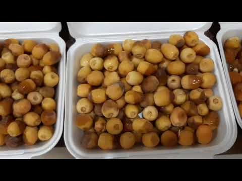 Tamar sa Kuwait - YouTube