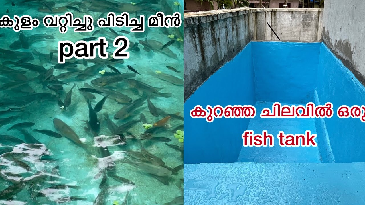 Making a simple fish tank - YouTube