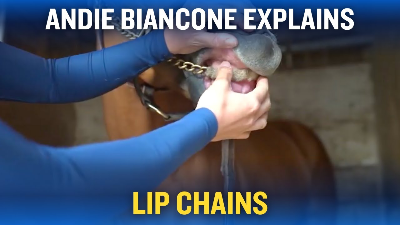 Andie Biancone Explains Lip Chains - YouTube