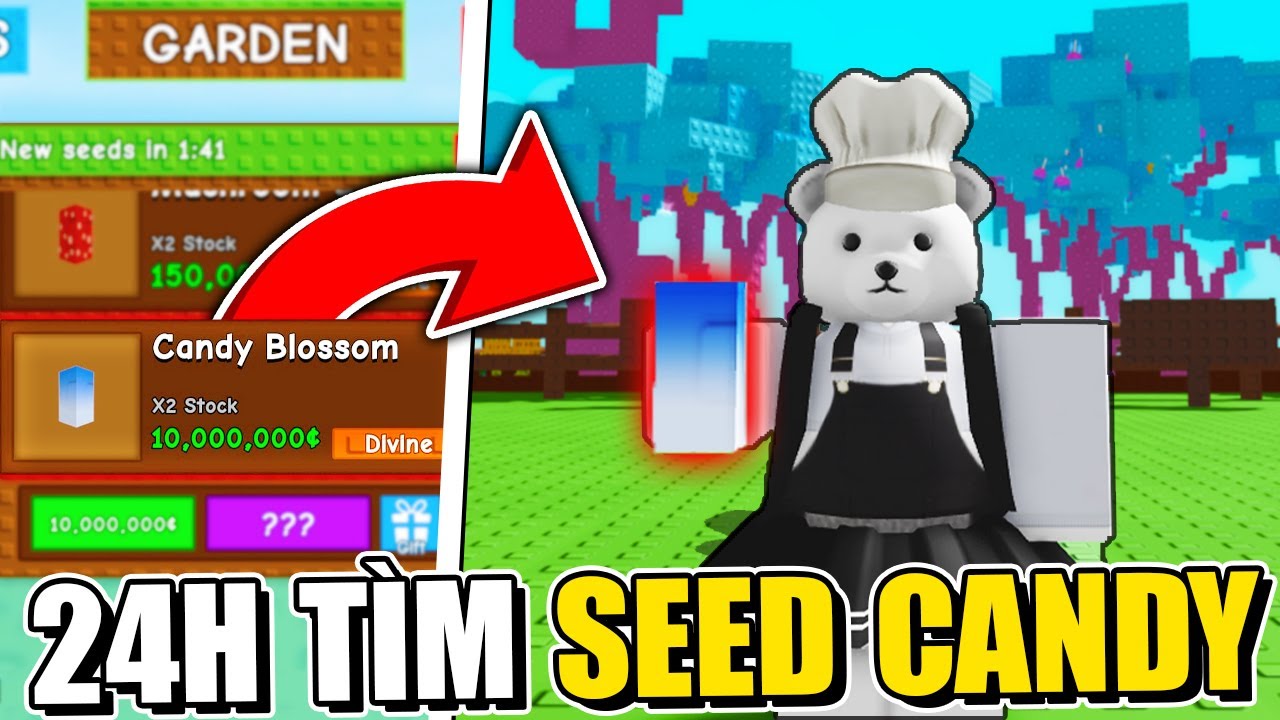 Tôi Tìm Được Cách Mua Hạt Giống Candy Blossom Limited Trong 24H Grow A ...