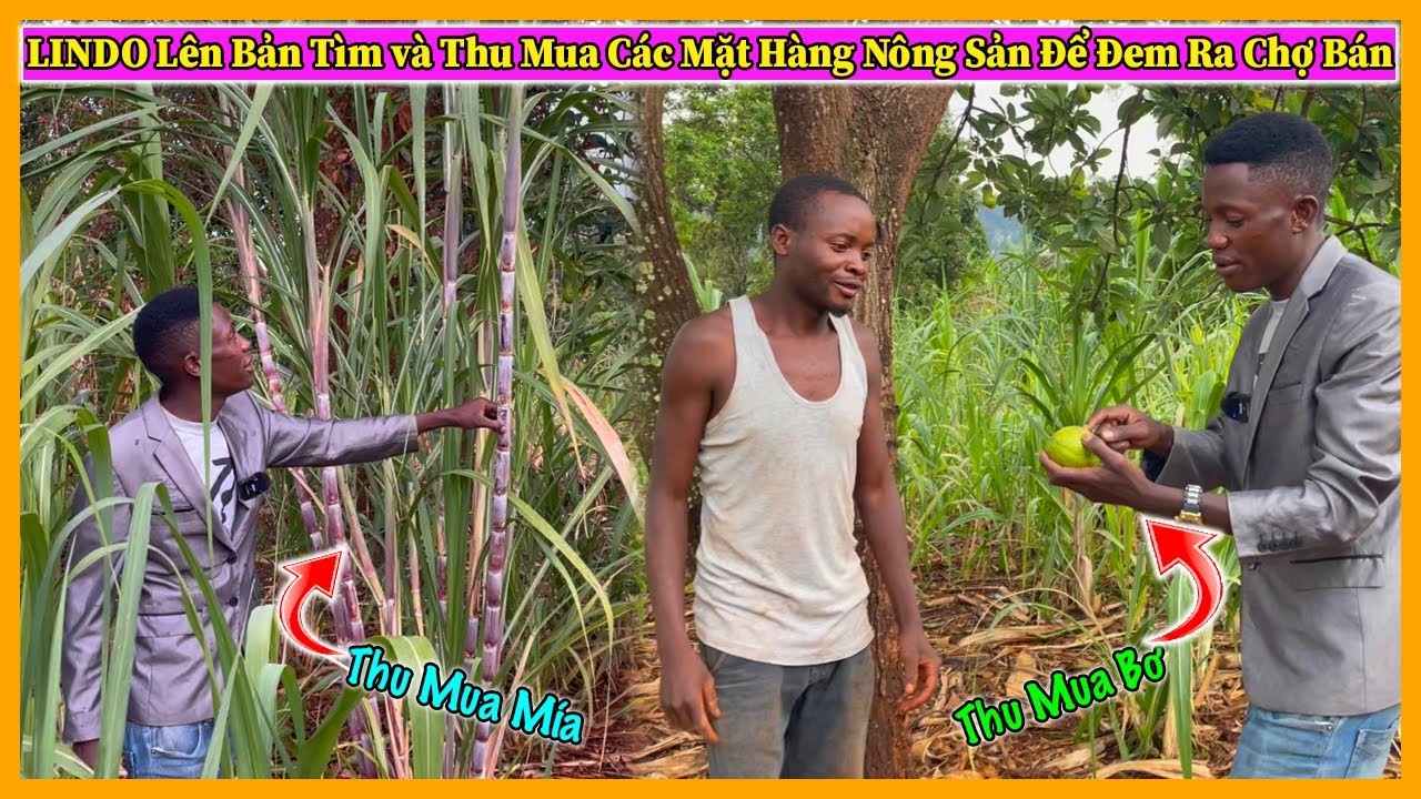 Lindo Lên Bản Đi Tìm Và Thu Mua Các Mặt Hàng Nông Sản Đem Ra Chợ Cho Vợ ...