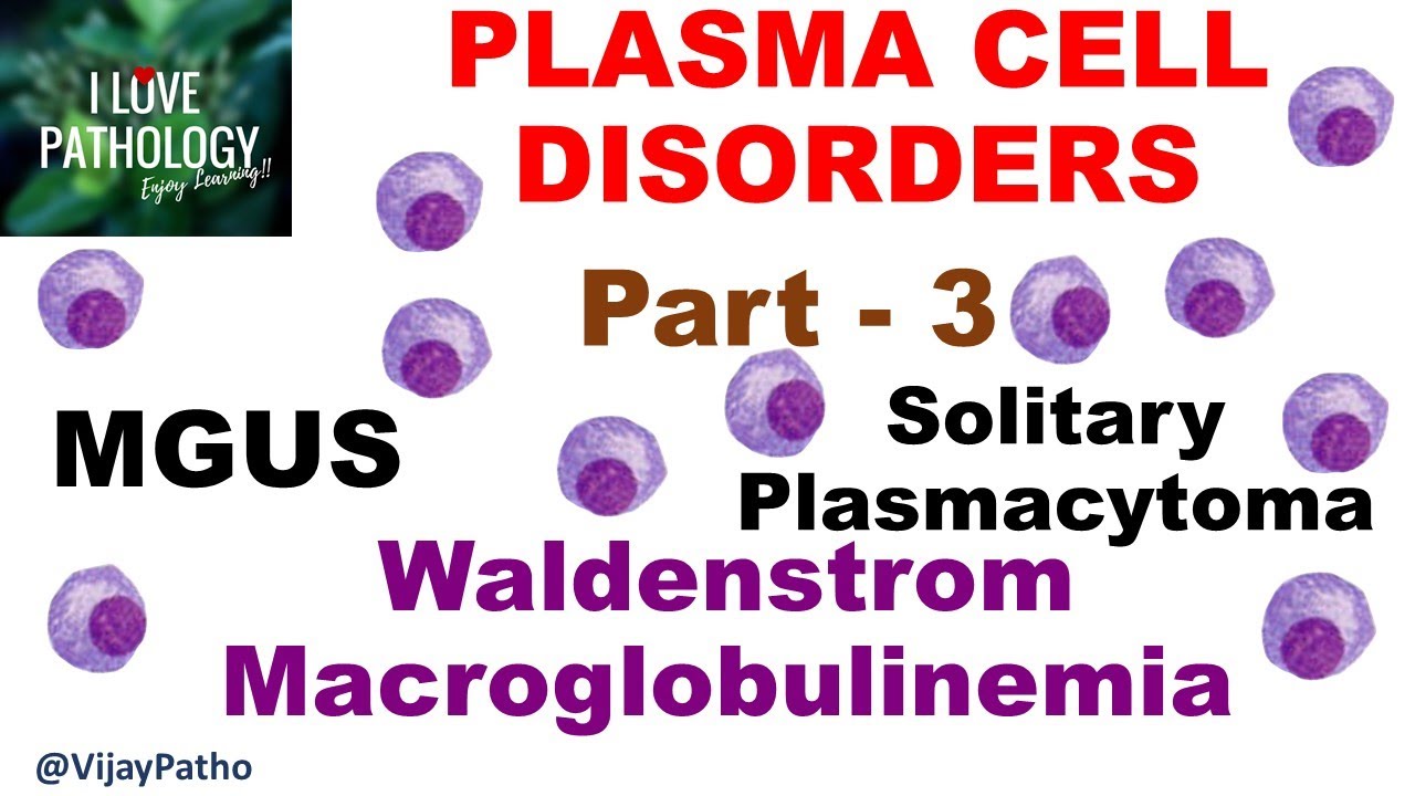 PLASMA CELL DISORDERS PART 3: MGUS, Solitary Plasmacytoma & Waldenstrom ...