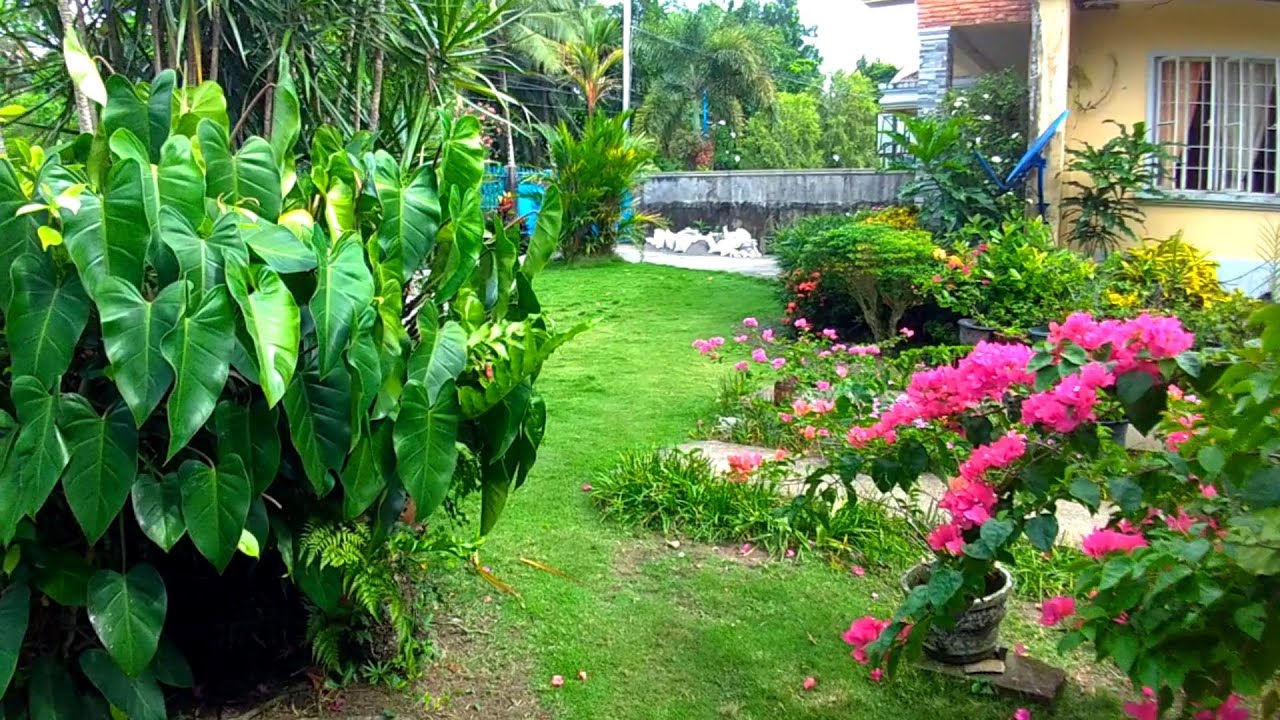 AMAZING VILLAGE HOUSE GARDEN/COUNTRYSIDE - YouTube