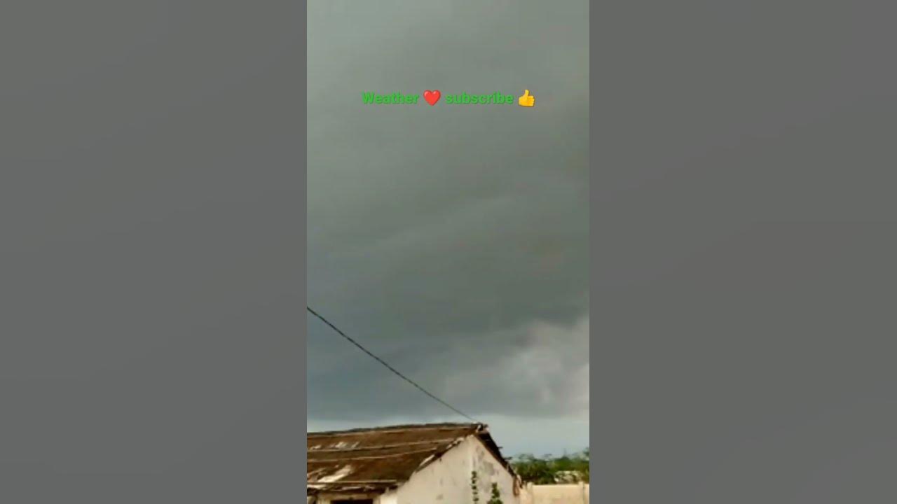 Birdssound Featured Trending Mosam Trendingshorts Shortsfeed Shorts Reels Weather Youtube