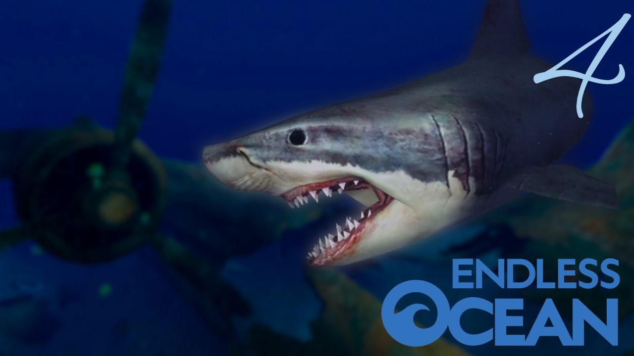 Scary Sharks | Endless Ocean Playthrough - YouTube