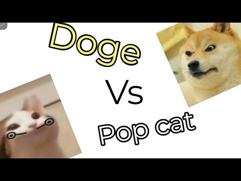 Doge Vs Pop Cat (My Movie animation) - YouTube