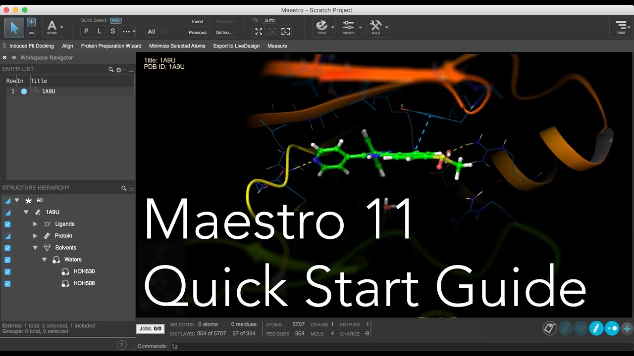 Maestro - Quick Start Guide [outdated] - YouTube