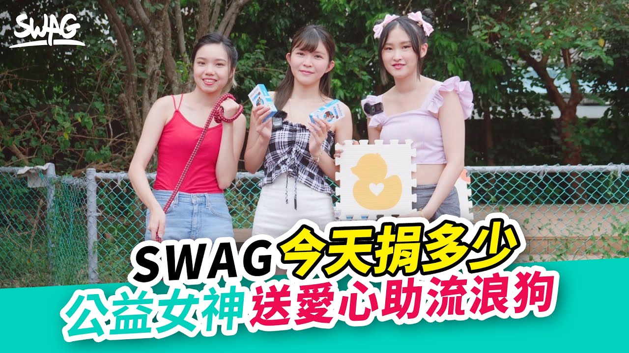 【今天捐多少】SWAG 三大人氣主播化身公益女神送愛心助流浪狗！｜SWAG 公益企劃 EP1 - YouTube