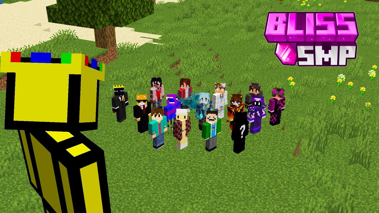 I Played On The Bliss Smp - YouTube