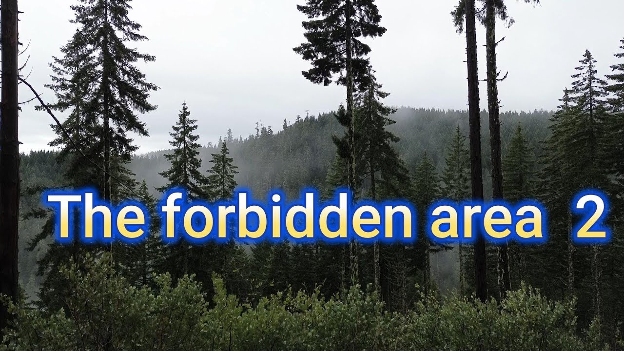 Searching Southern Oregon Coastal Range for Bigfoot/ Sasquatch hot ...