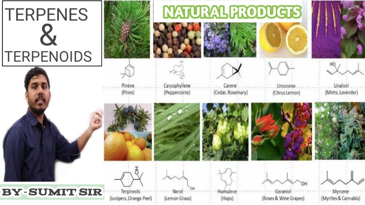 TERPENES AND TERPENOIDS || NATURAL PRODUCTS || LECTURE-2 || Sumit Sir ...