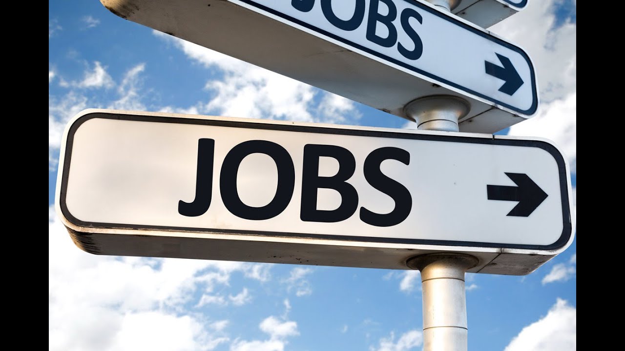 Navigating Career Pathways: Diverse Job Roles for Freshers| freshers ...