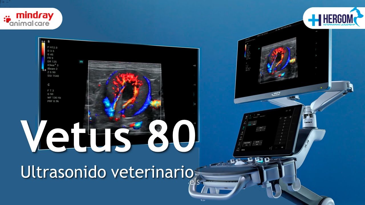 Ultrasonido Vetus 80 - mindray animal care - YouTube
