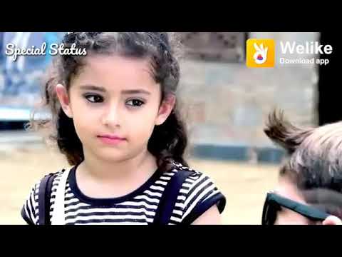New whatsapp status videos 18