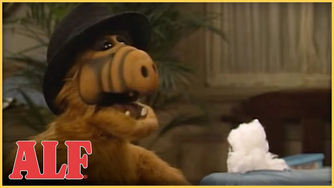 ALF is Addicted to Cotton | ALF | S4 Ep6 Clip - YouTube