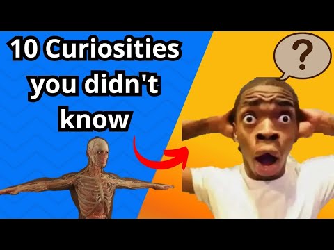 10 Curiosities you didn't know about the human body🤯👀💣 - YouTube